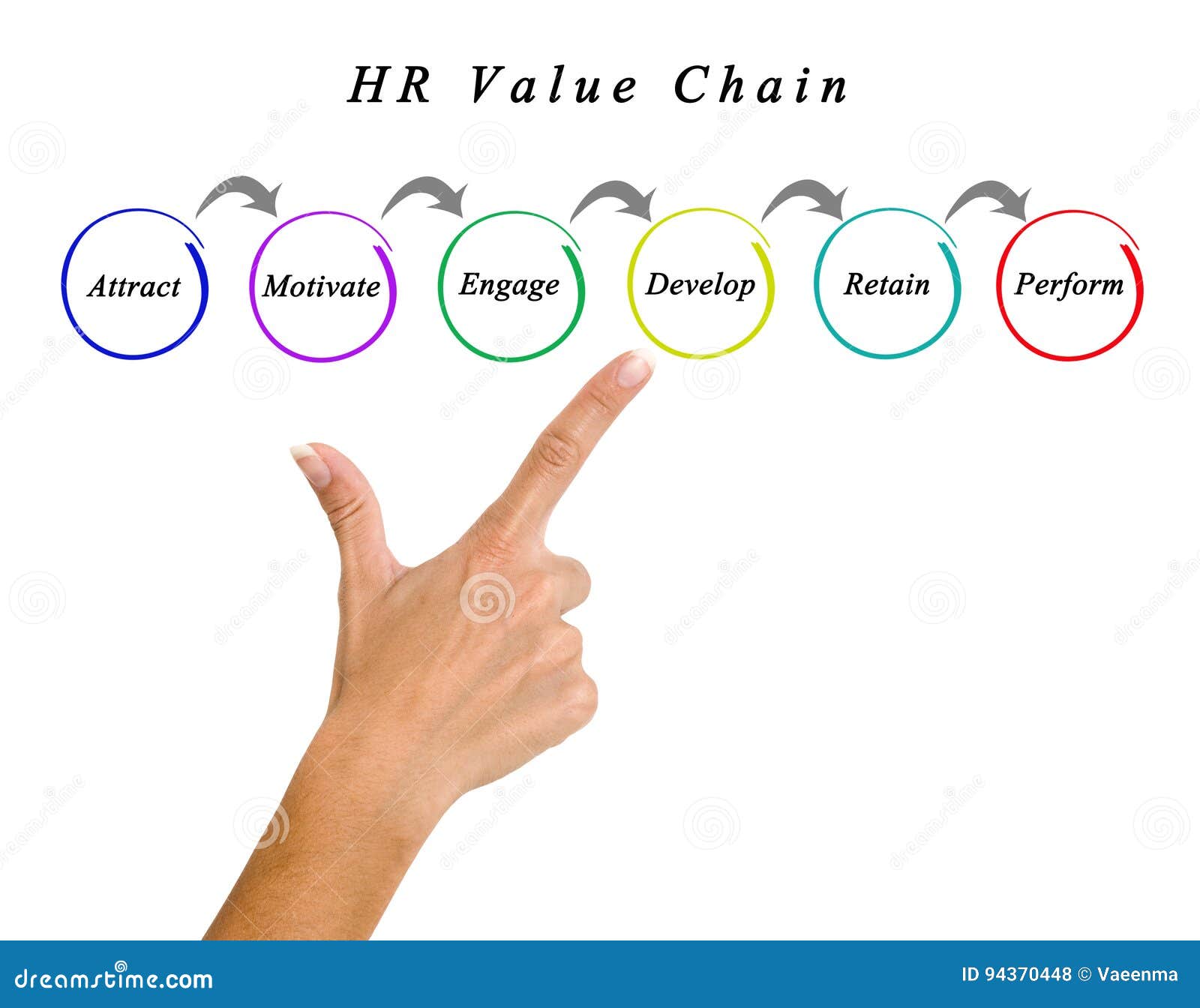HR Value Chain stock photo. Image of control, development - 94370448