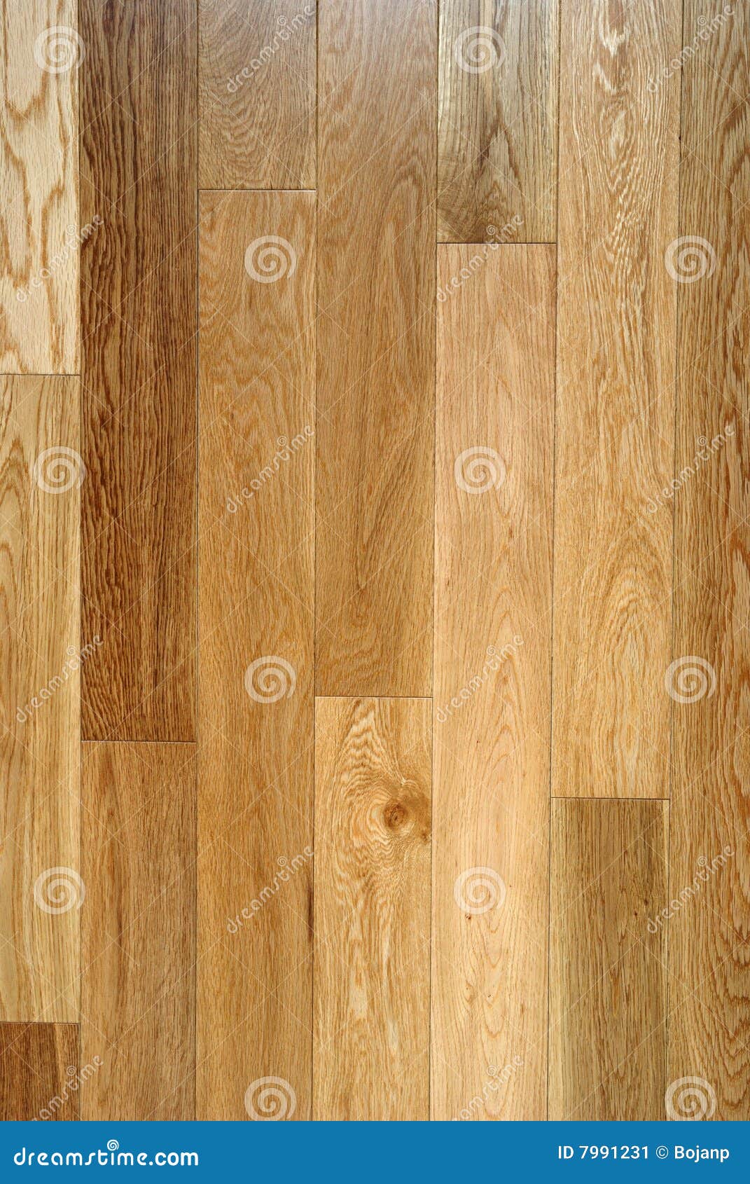 Hrast stock image. Image of design, plank, decor, sample - 7991231