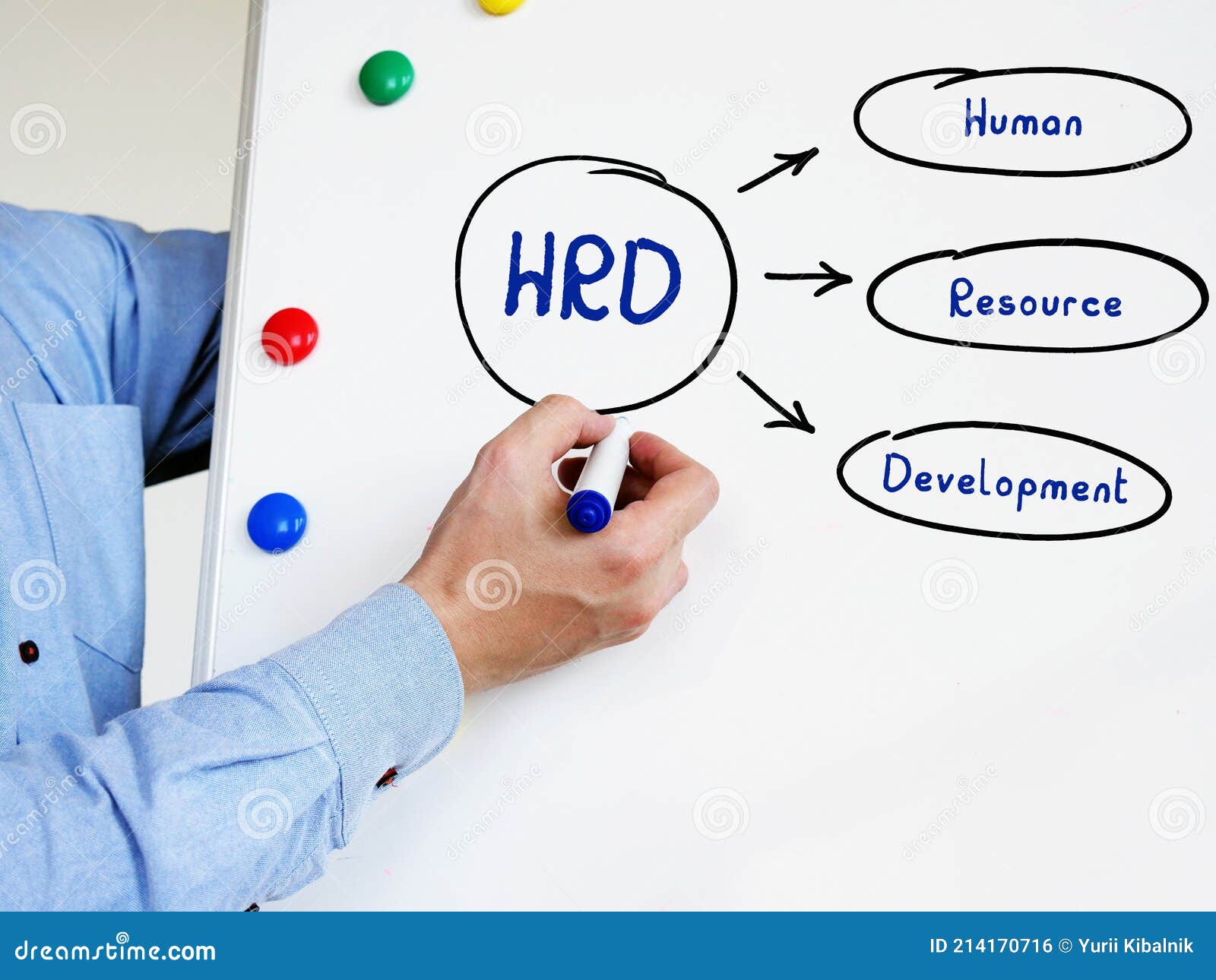 HRD Human Resource Development Written Text. Hand Holding a Marker Pen ...