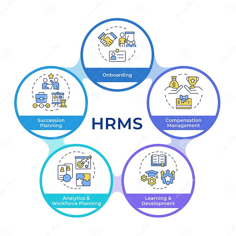 HRMS Infographic Circles Flowchart Stock Illustration - Illustration of ...