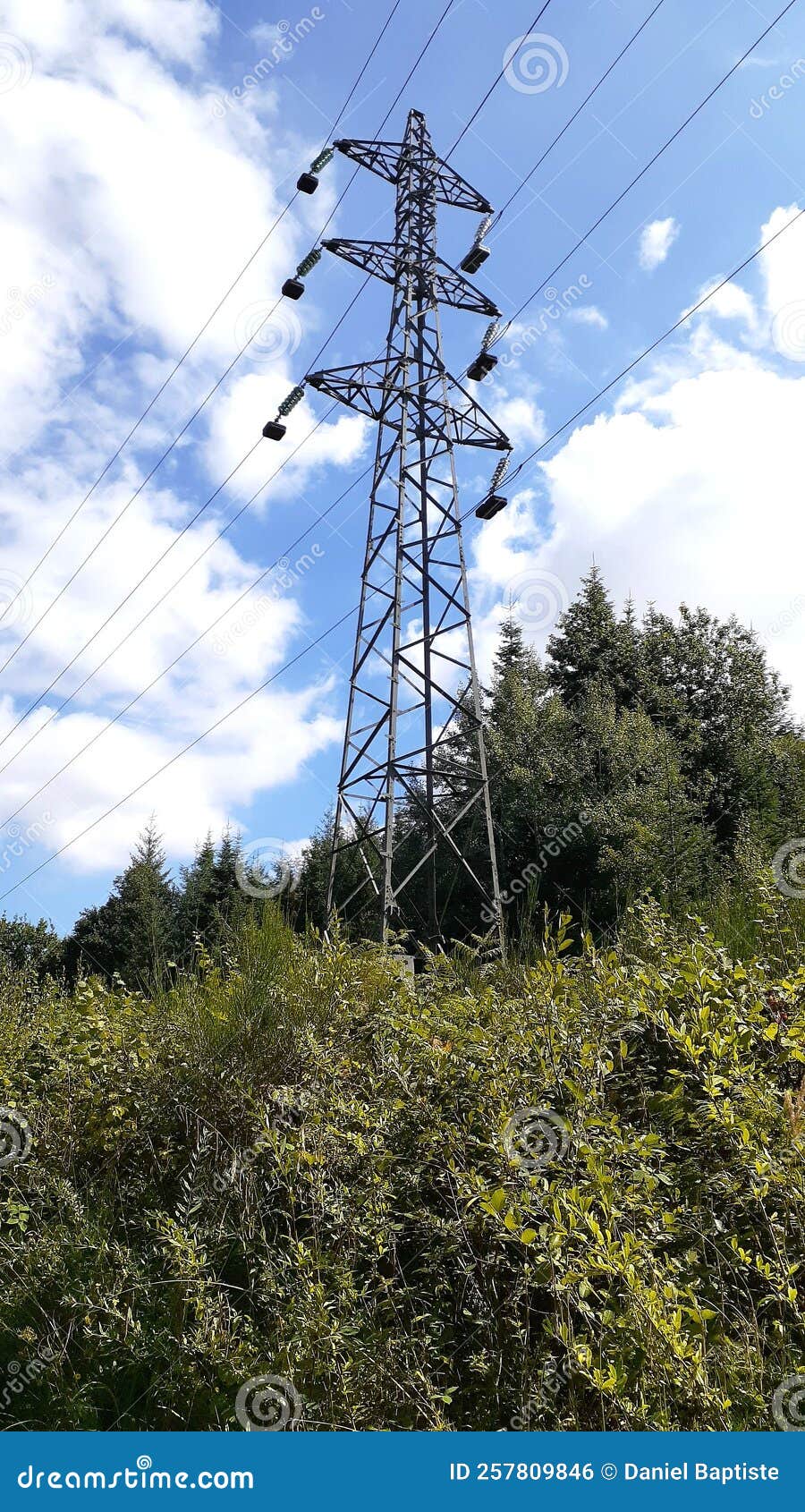 Ht Pylon Located in the Middle of the Forest Stock Photo - Image of ...