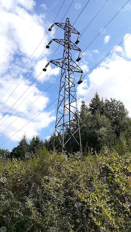 Ht Pylon Located in the Middle of the Forest Stock Photo - Image of ...