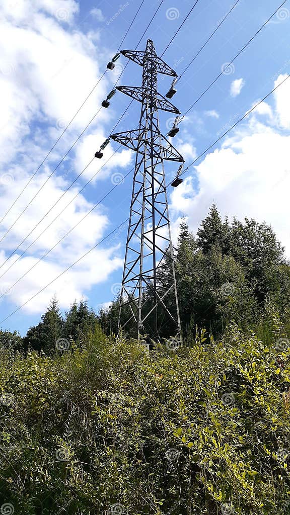 Ht Pylon Located in the Middle of the Forest Stock Photo - Image of ...