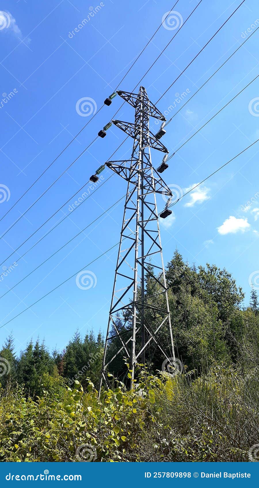 Ht Pylon Located in the Middle of the Forest Stock Photo - Image of ...