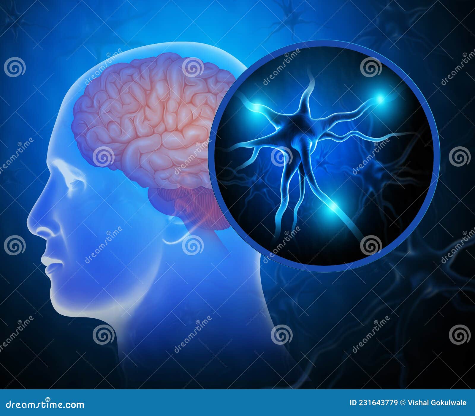 Human Brain With Active Neurons Royalty-Free Stock Photo ...