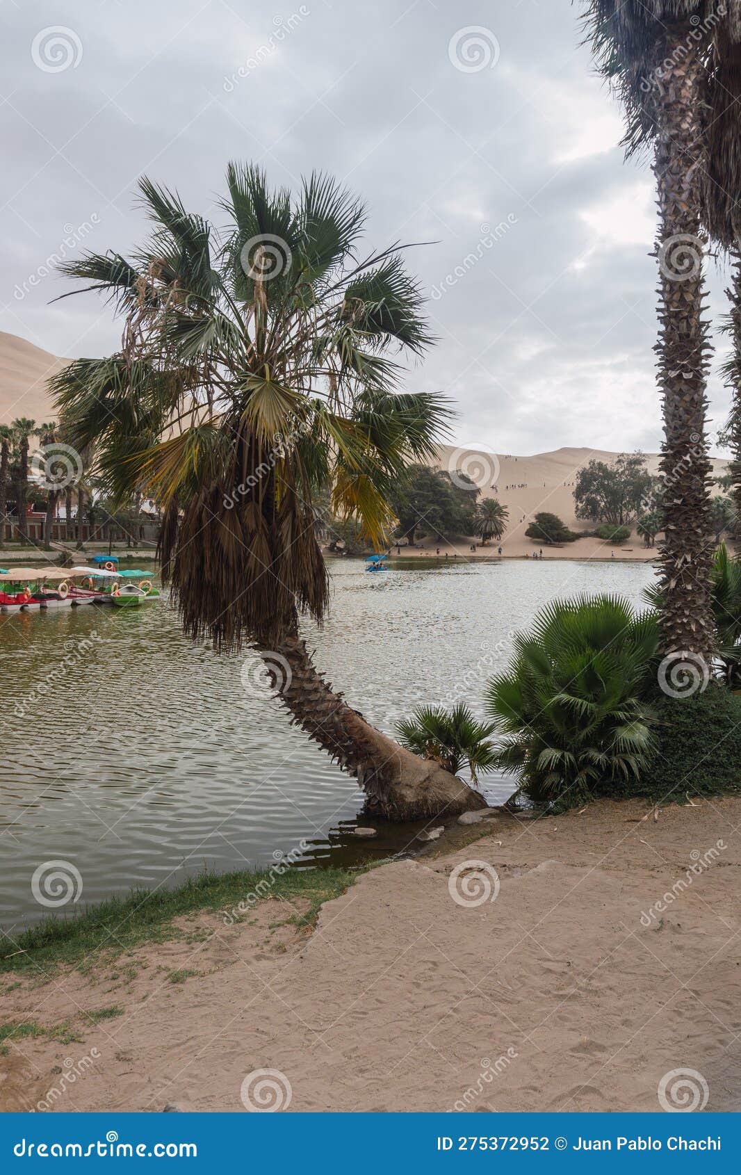Huacachina Lagoon at Ica Peru Stock Photo - Image of reflection, south ...