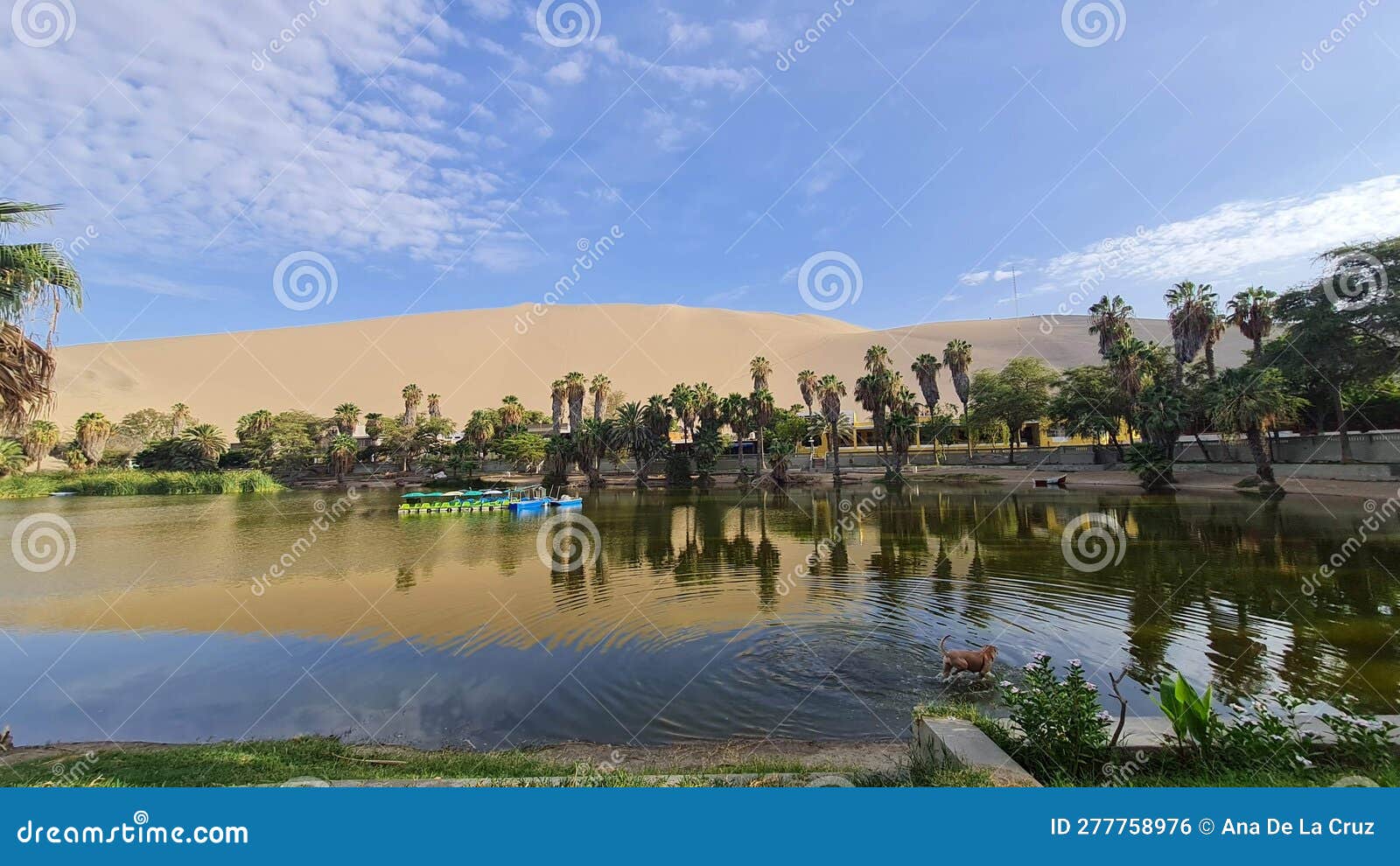 HUACACHINA LAGOON PERU stock photo. Image of lagoon - 277758976