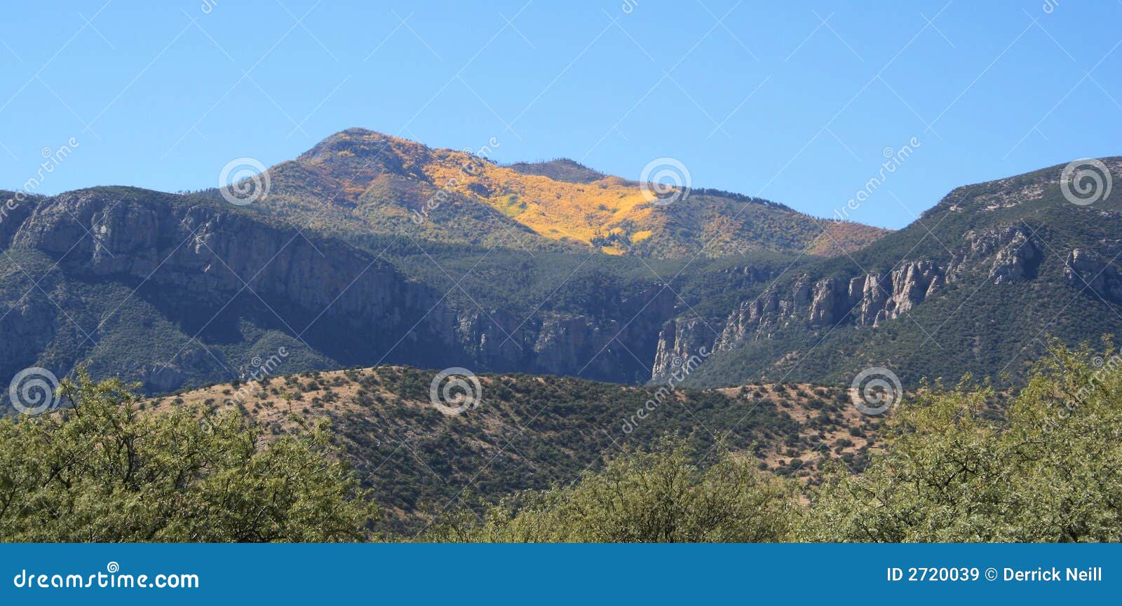 A Huachuca Mountain Autumn stock image. Image of autumn - 2720039