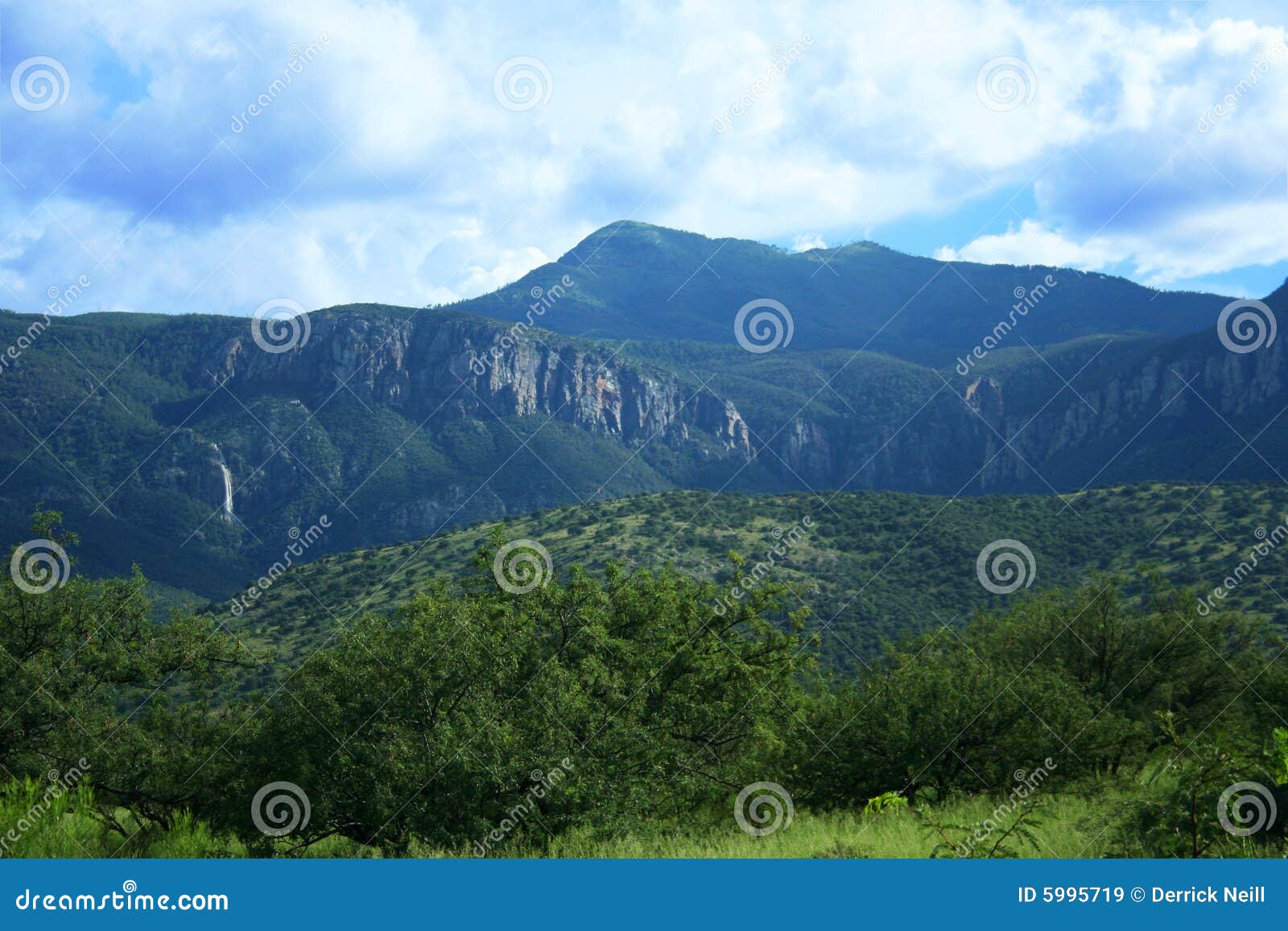 A Huachuca Mountain Summer stock image. Image of cascade - 5995719