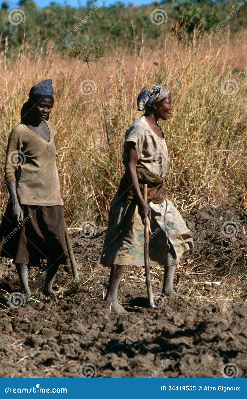 Huambo, Angola editorial image. Image of plowing, africa - 24419555