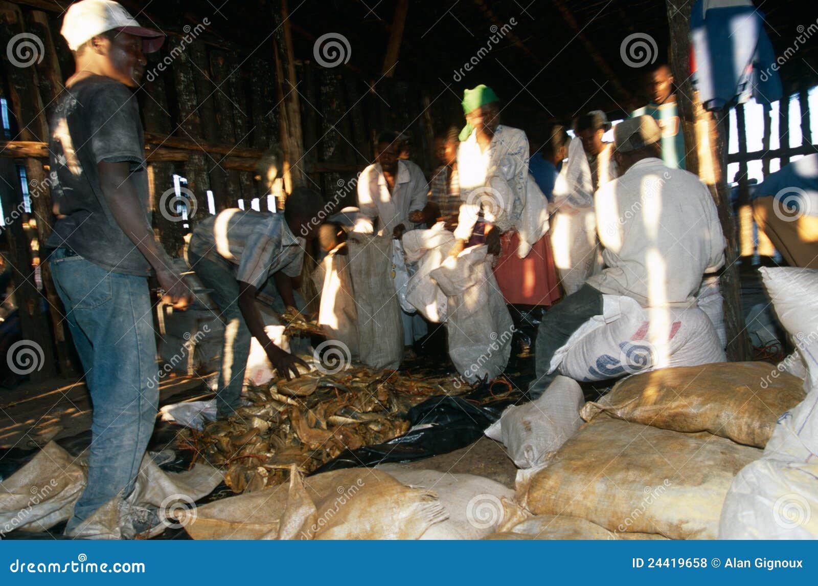 Huambo, Angola editorial stock photo. Image of displaced - 24419658