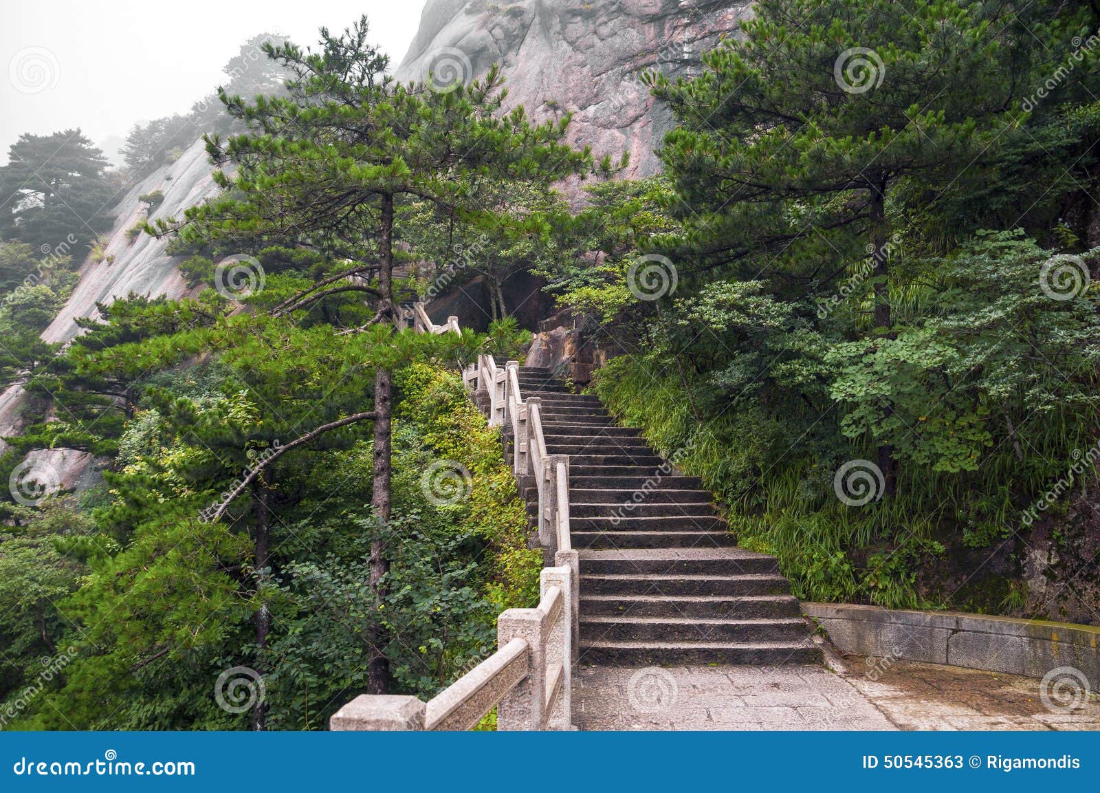 Huangshan Mountain Stairs Path into Forest Stock Image - Image of ...