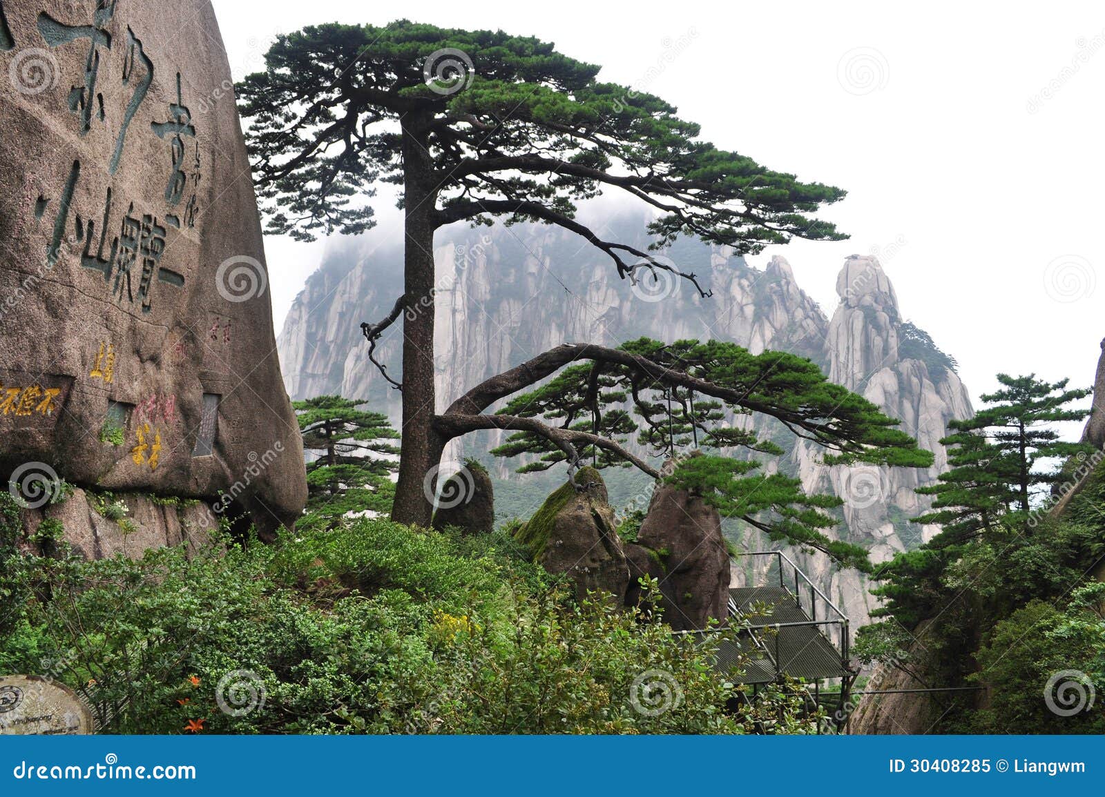Huangshan welcoming pine stock image. Image of trees - 30408285