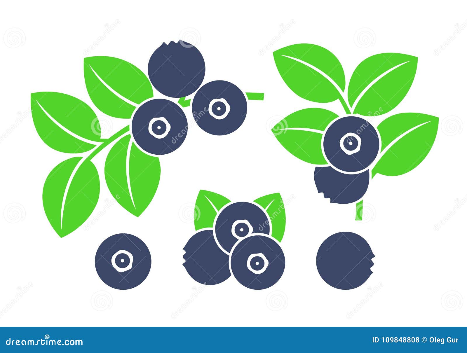 Huckleberry logo icon set stock vector. Illustration of blaeberry ...