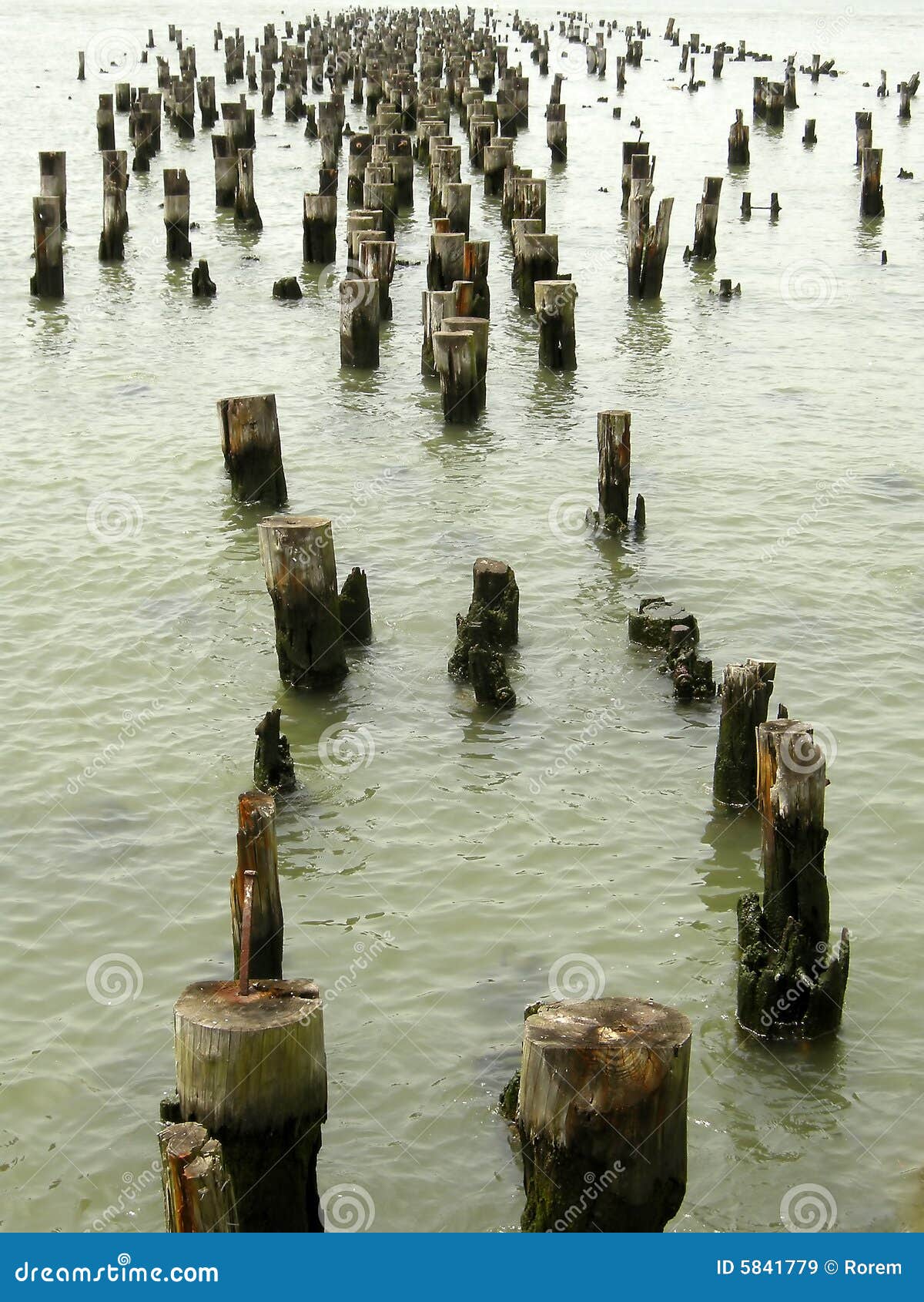 Hudson river wooden poles stock image. Image of pylons - 5841779
