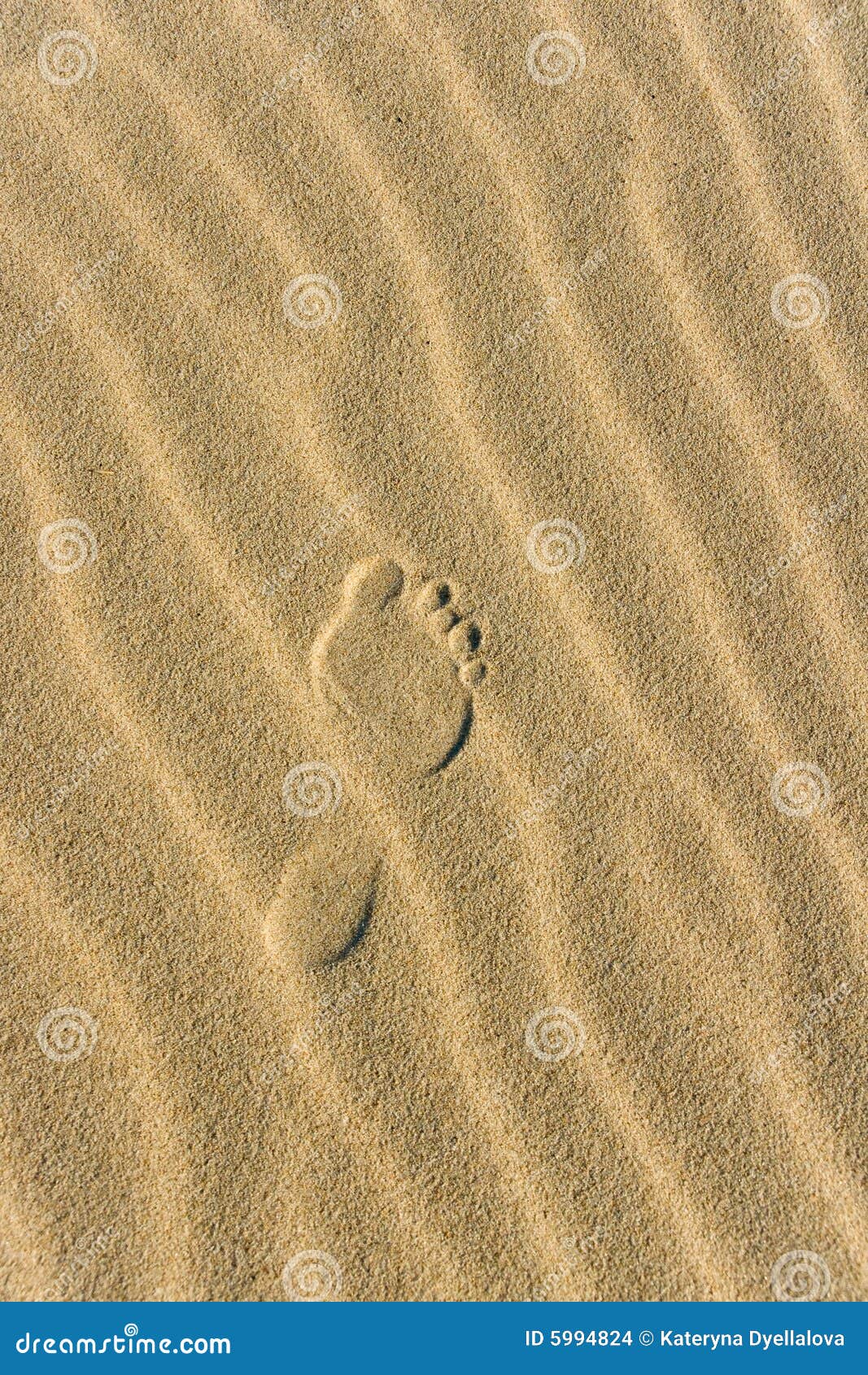 Huella Imagen. Imagen: 5994824