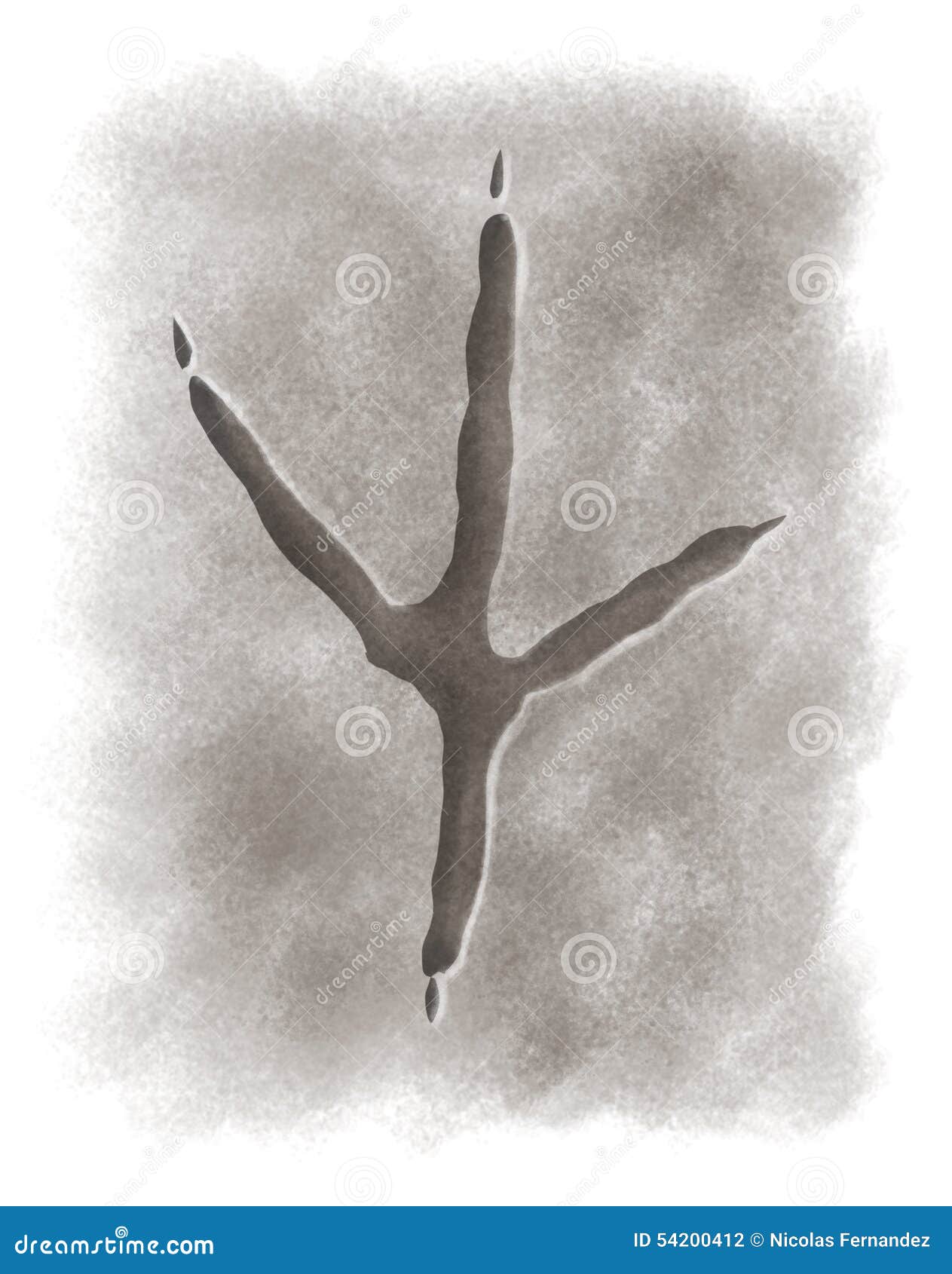 Huella de la garza stock de ilustración. Ilustración de fauna - 54200412