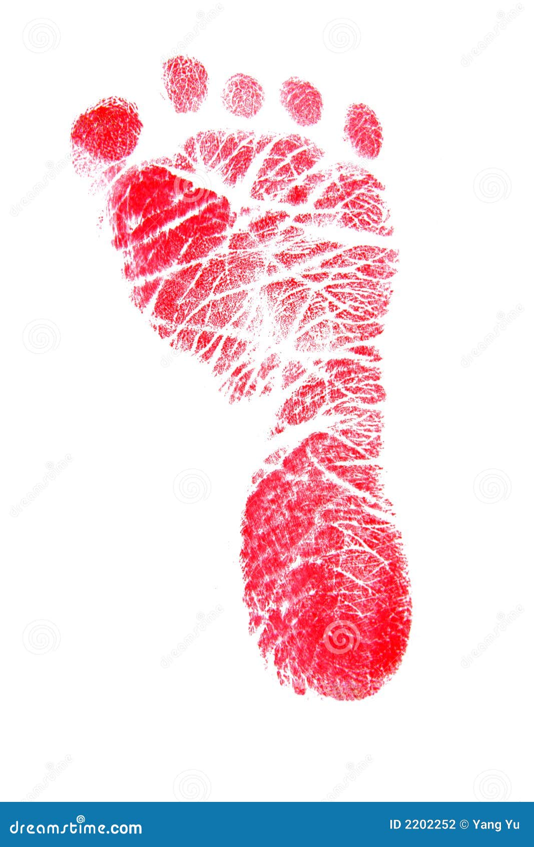 Huella roja foto de archivo. Imagen de blanco, pies, poco - 2202252