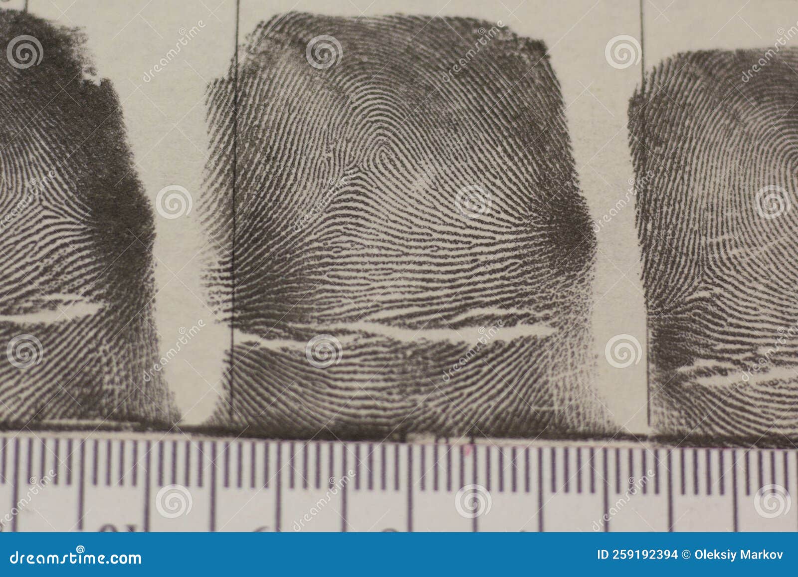 Huellas Dactilares Con Cierre De Regla Forense Foto de archivo - Imagen ...