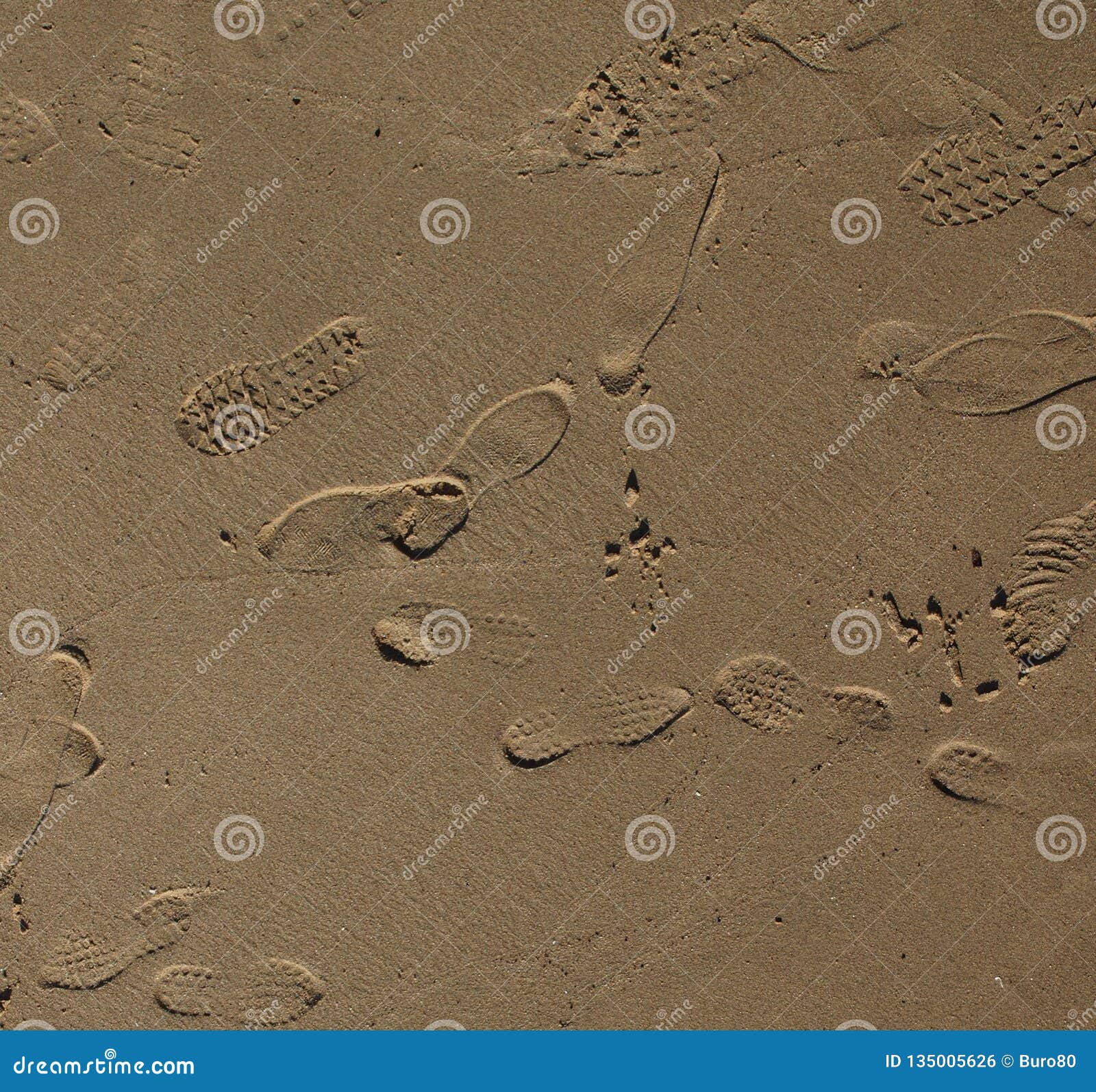 Huellas De Pasos En La Playa Foto de archivo - Imagen de caos, todos ...