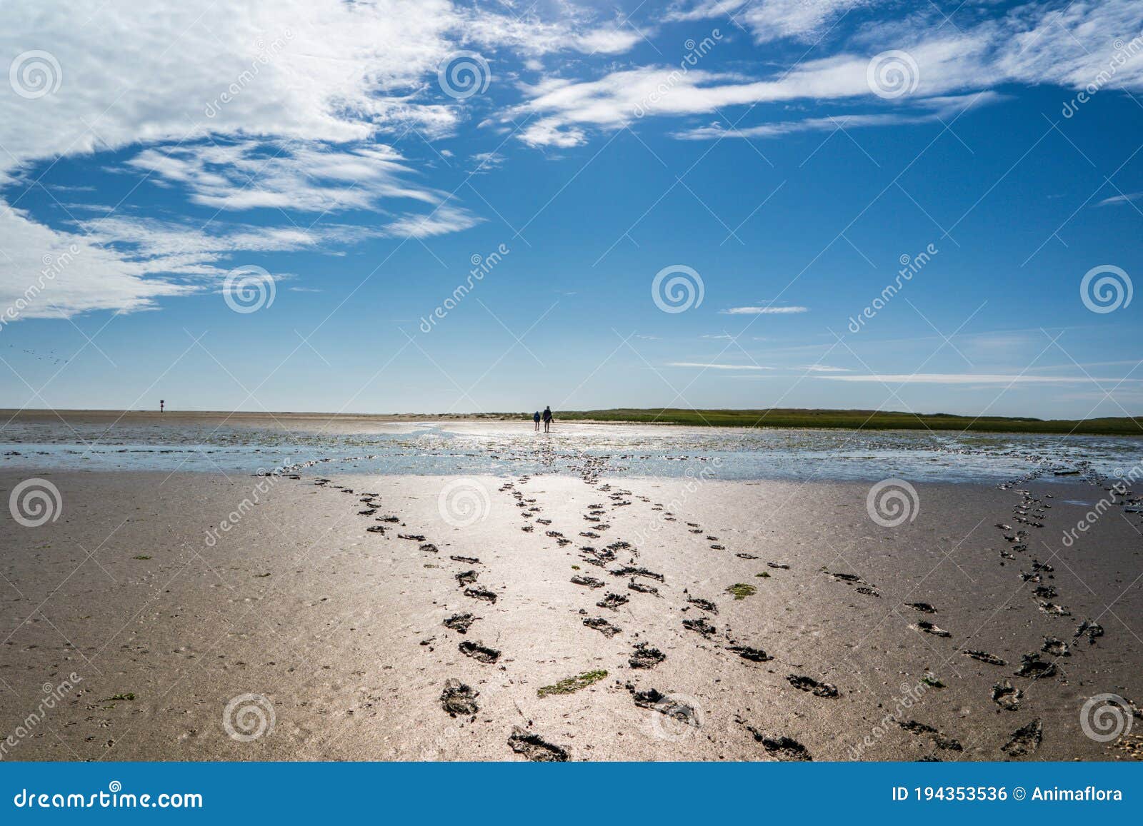 Huellas En El Mar De Wadden Foto de archivo - Imagen de fango, paisaje ...