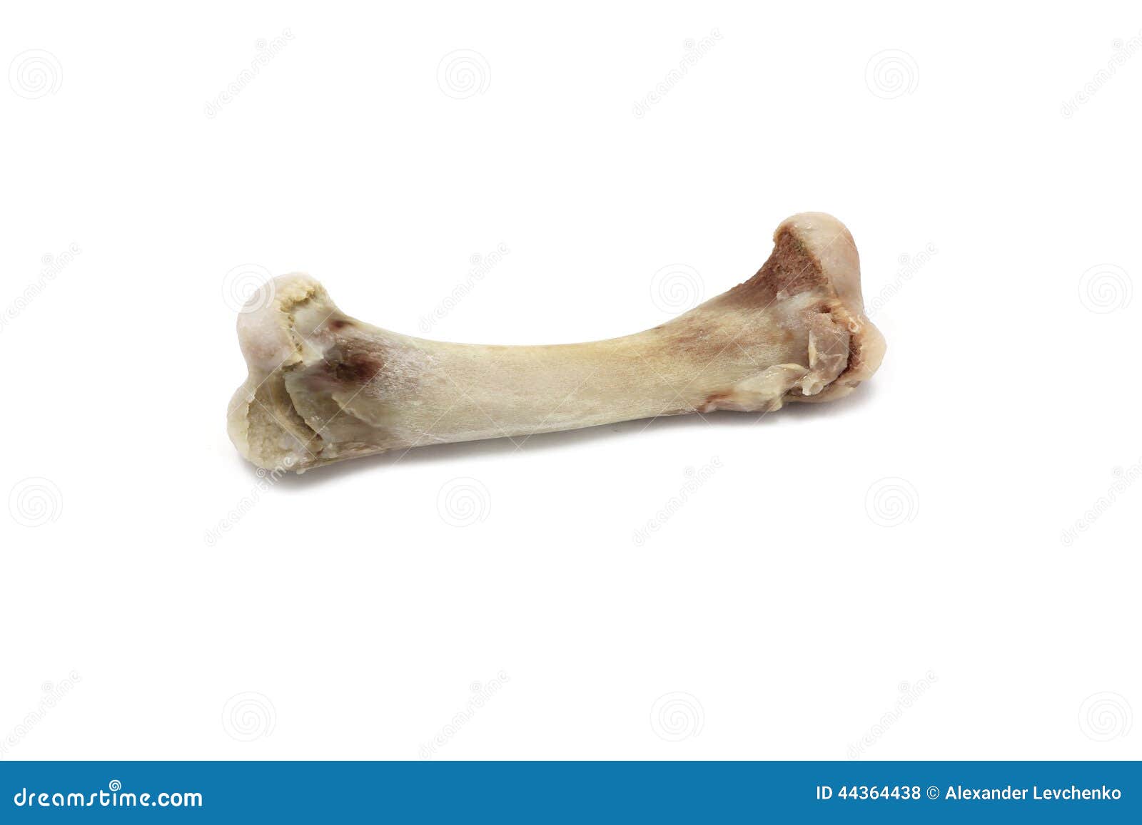 Hueso Del Pollo Aislado Foto de archivo - Imagen: 44364438