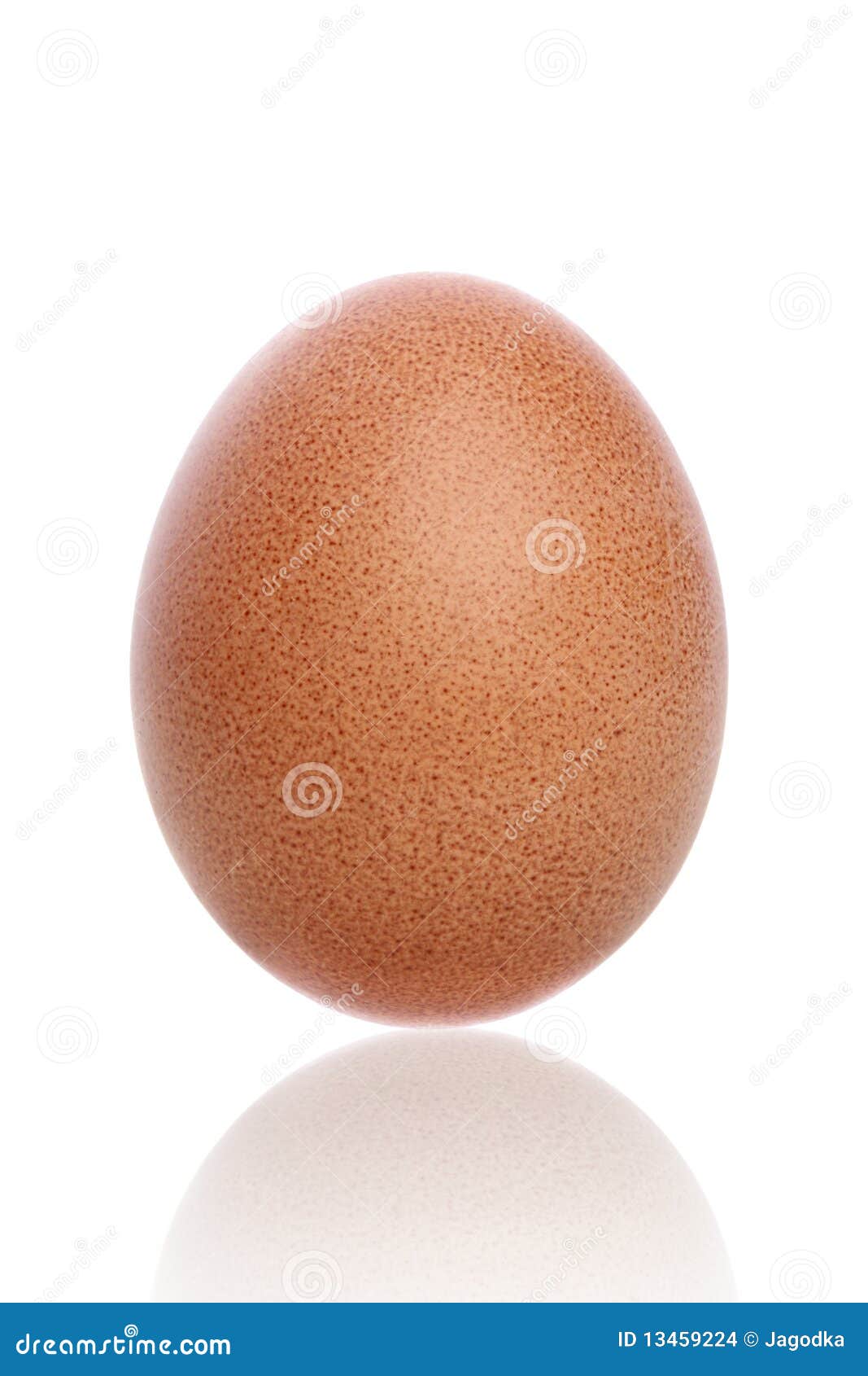 Huevo foto de archivo. Imagen de pollo, comestible, mullido - 13459224