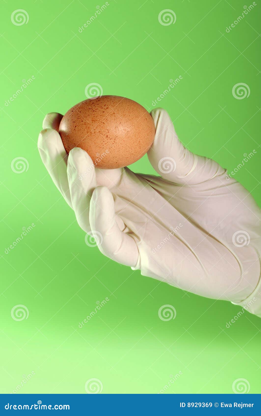 Huevo imagen de archivo. Imagen de mano, fresco, blanco - 8929369