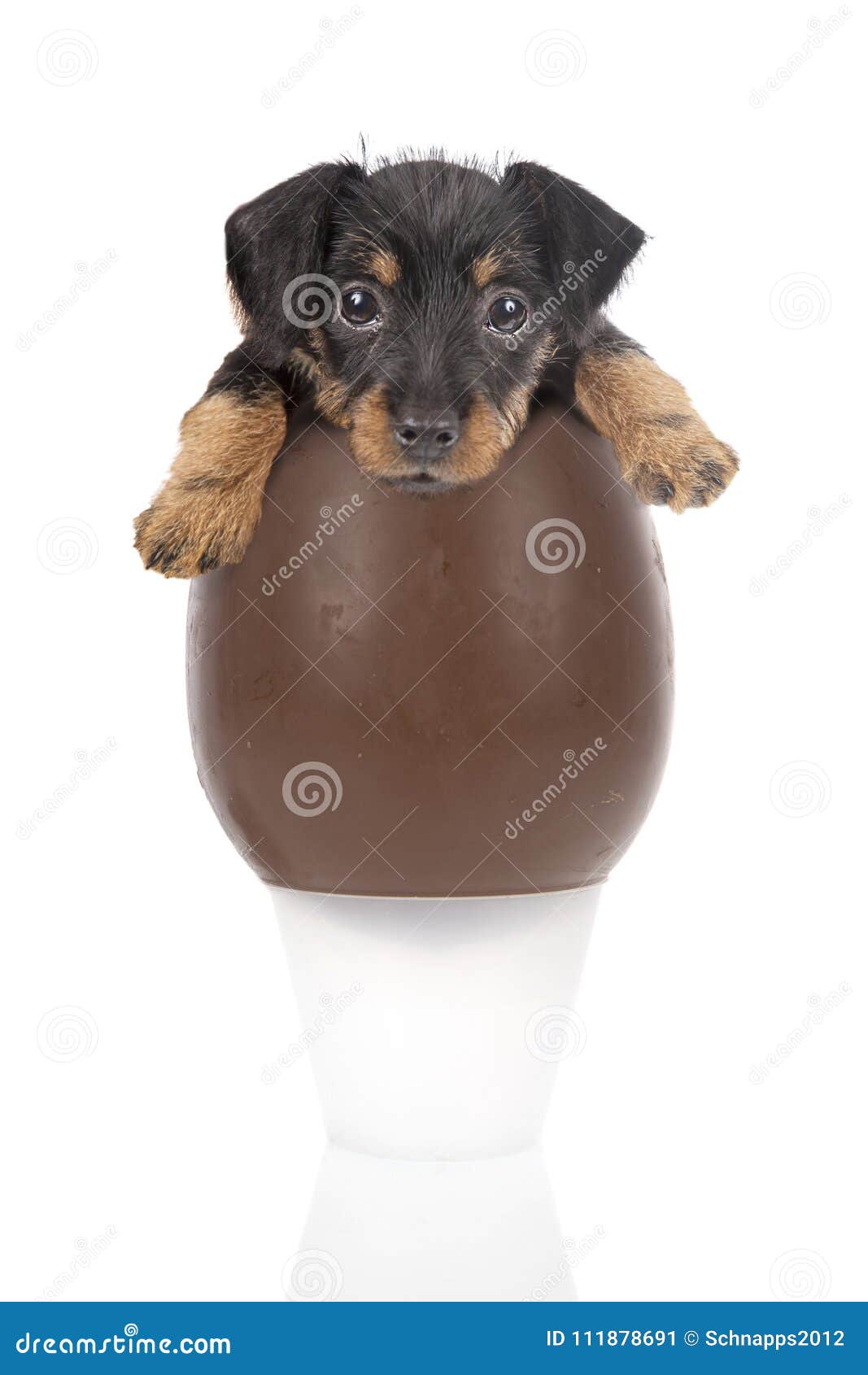 Huevo De Chocolate Con El Perrito Dentro Imagen de archivo - Imagen de ...