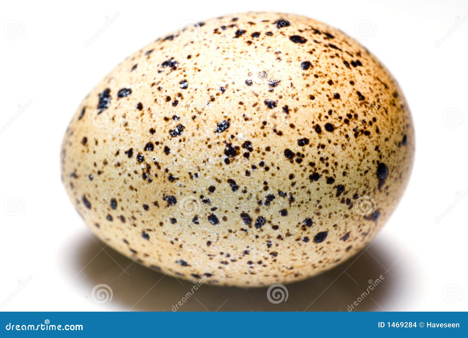 Huevo en el fondo blanco foto de archivo. Imagen de aislado - 1469284