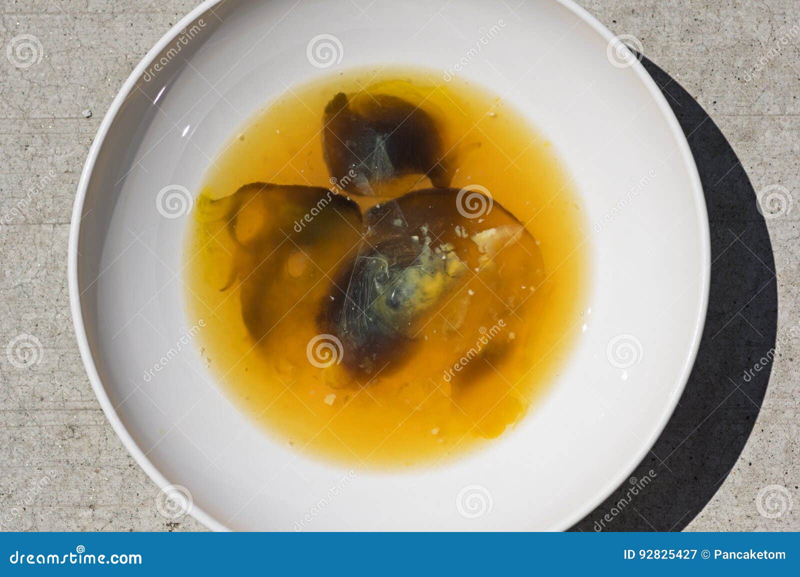 Huevo putrefacto imagen de archivo. Imagen de nationhood - 92825427