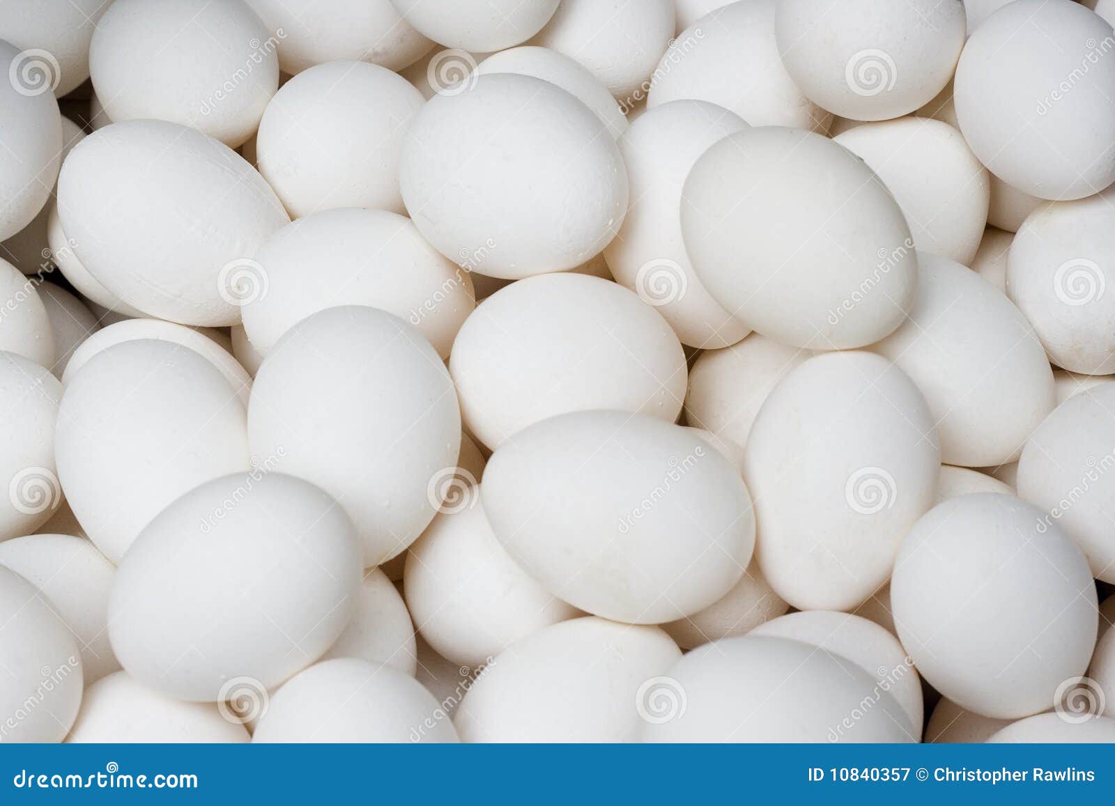 Huevos blancos imagen de archivo. Imagen de venta, huevos - 10840357