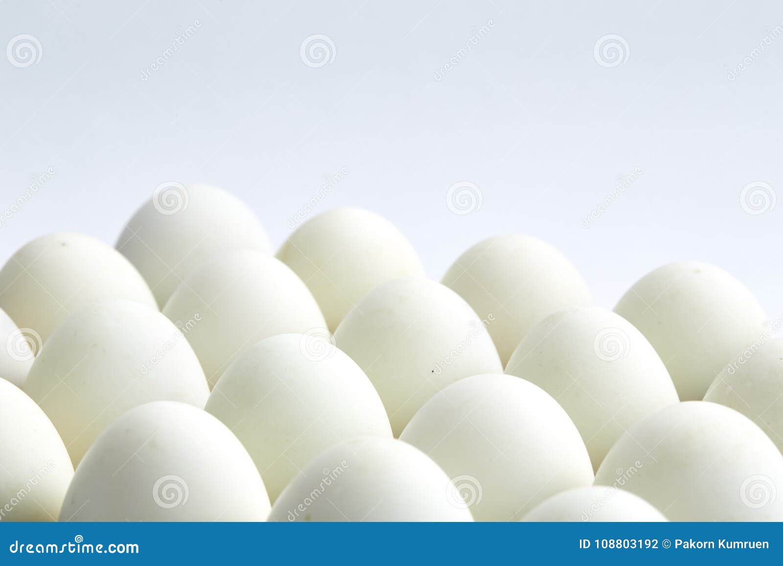 Huevos Blancos En Un Fondo Blanco Foto de archivo - Imagen de fondo ...