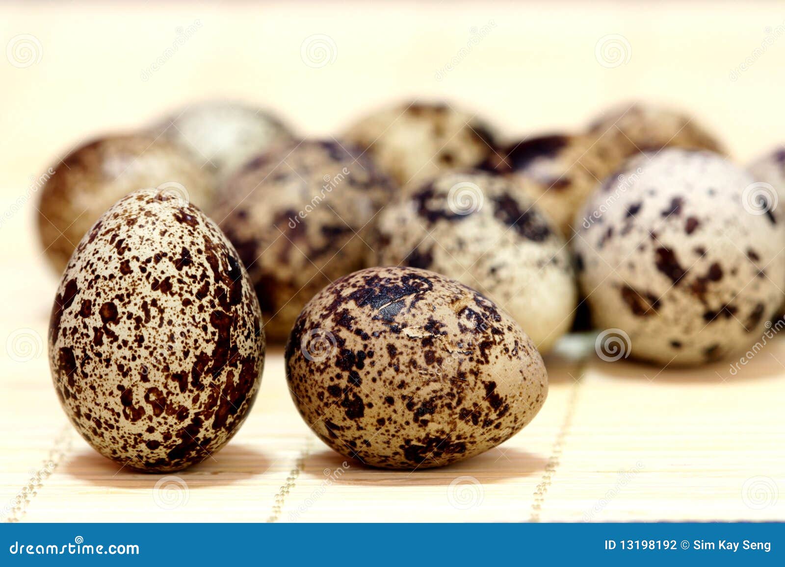 Huevos de codorniz foto de archivo. Imagen de huevos - 13198192