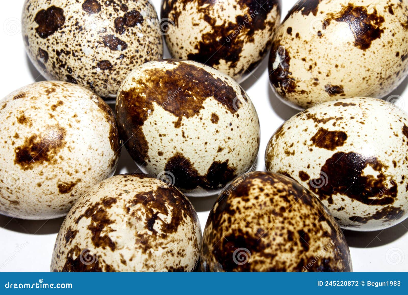 Huevos De Codorniz Sobre Un Fondo De Huevos Codorniz Blanco. Foto de ...