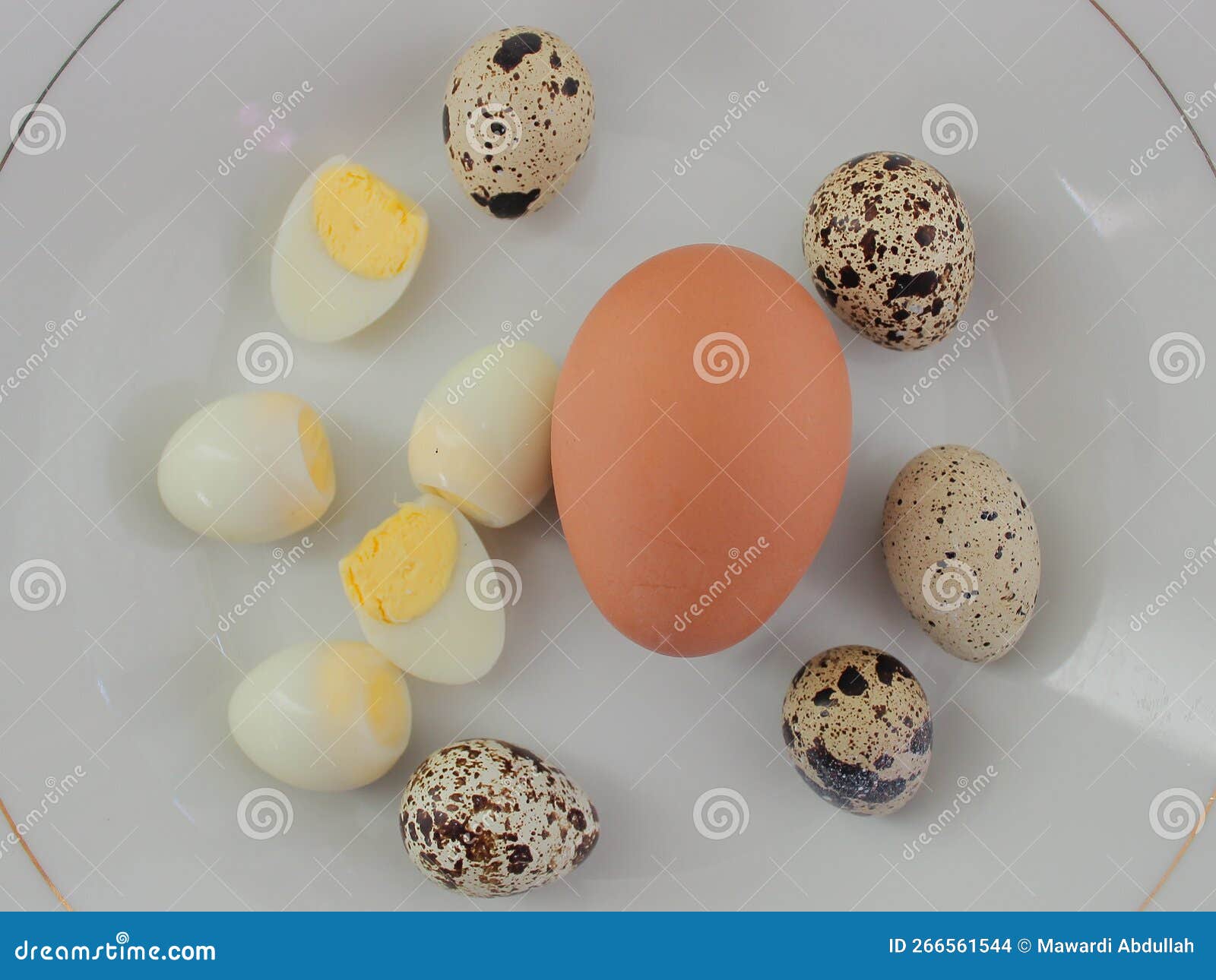 Huevos De Gallina Y Huevos De Codorniz Foto de archivo - Imagen de ...