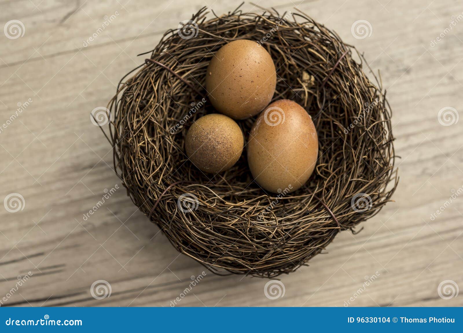 Huevos En Jerarquía Del Pájaro Foto de archivo - Imagen de grupo ...