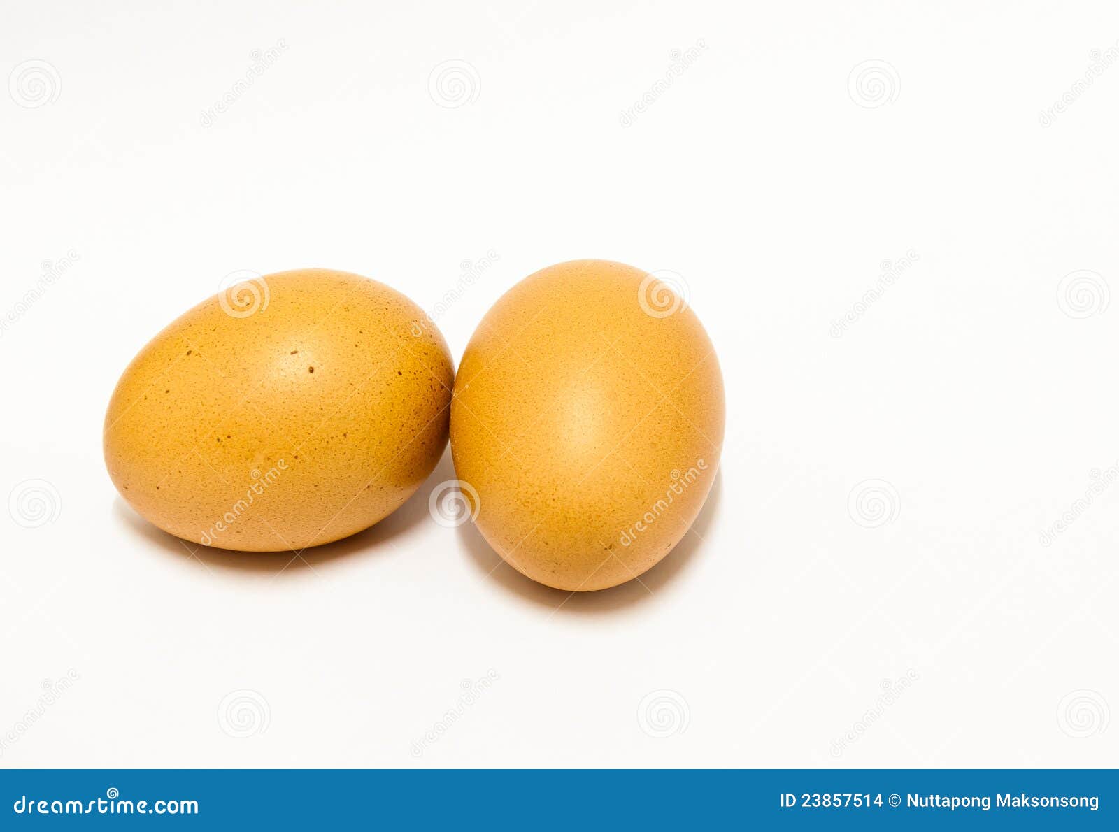 Huevos en un fondo blanco foto de archivo. Imagen de sano - 23857514