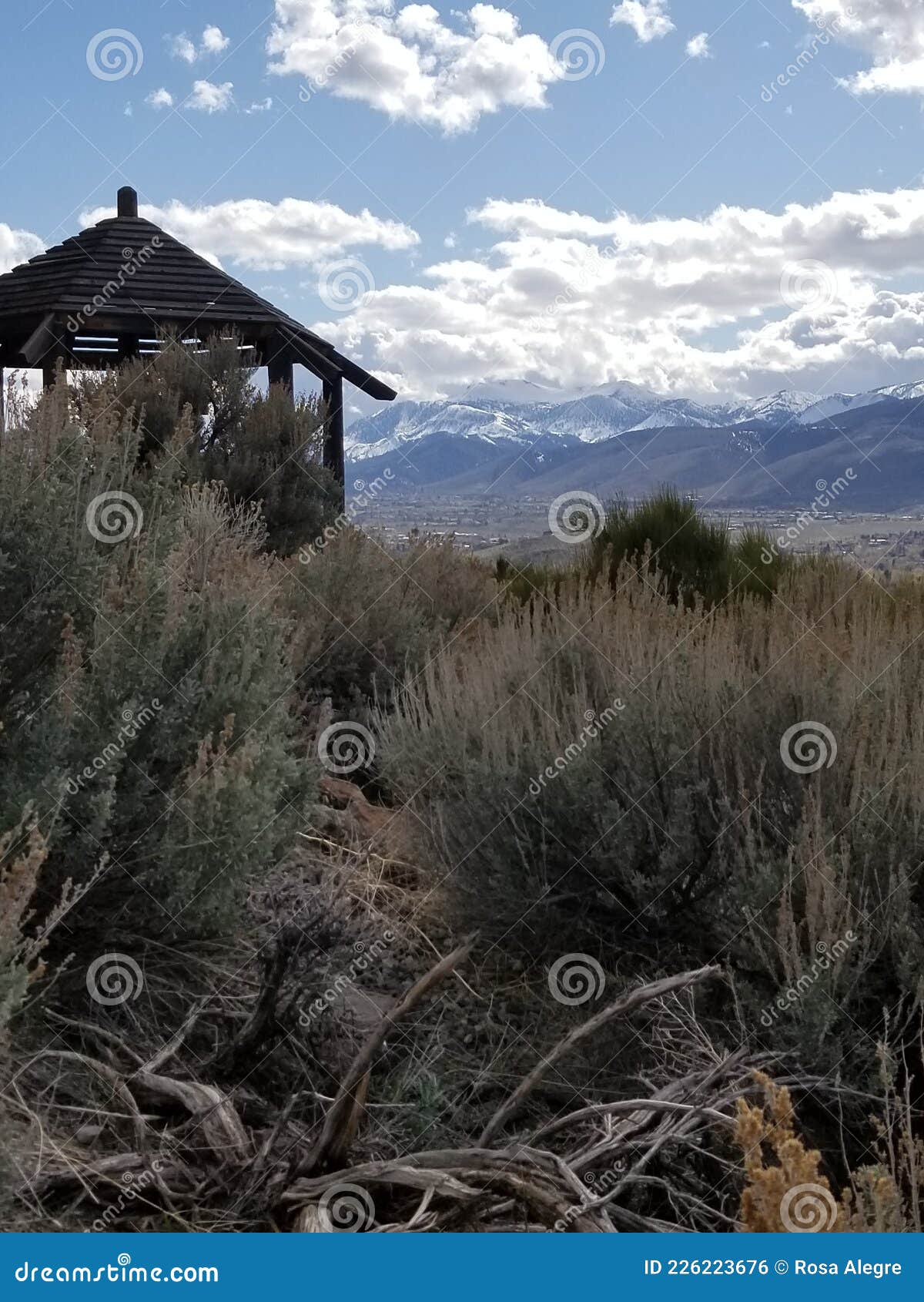 Huffaker Park and trail stock photo. Image of hill, ridge - 226223676