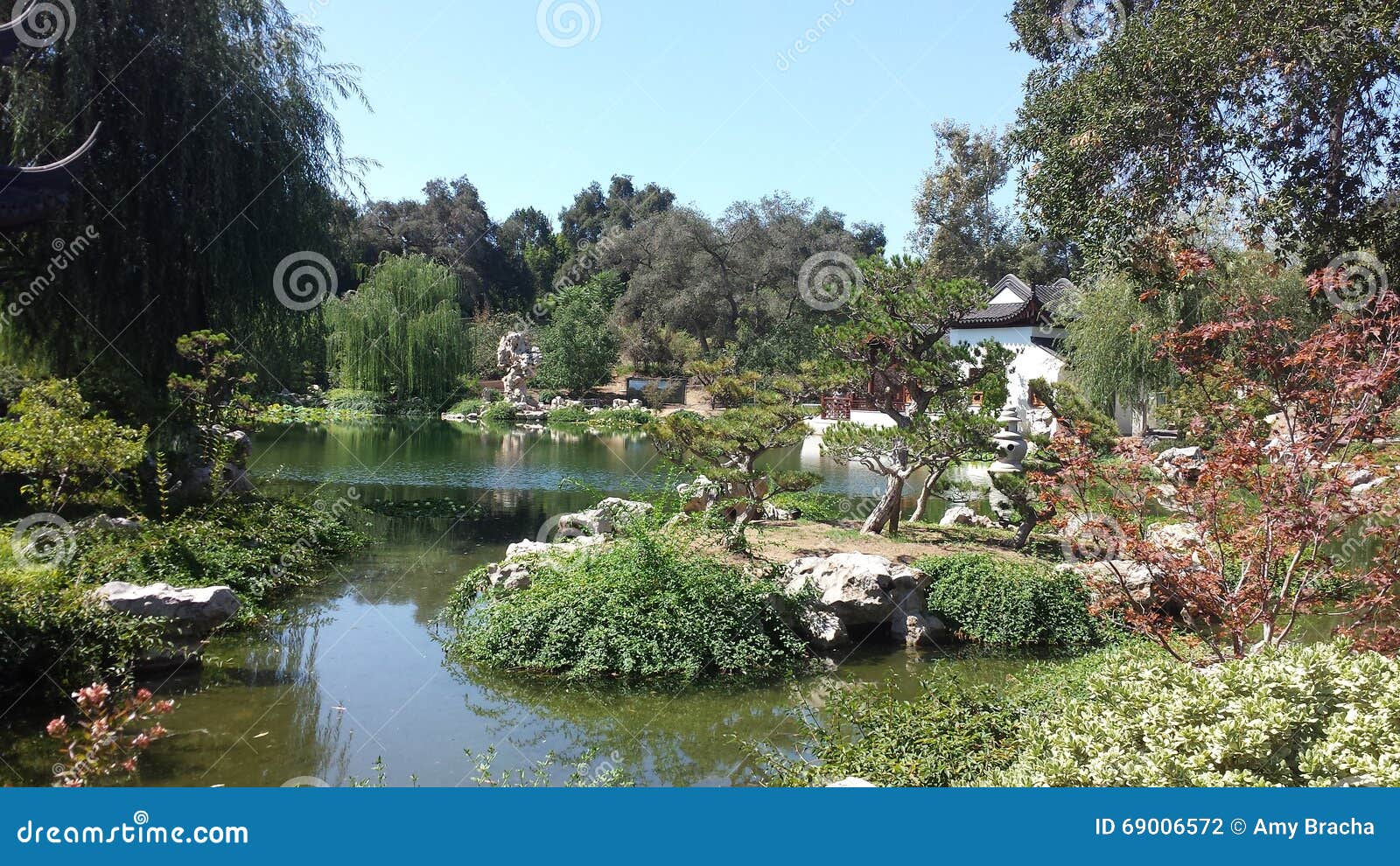 Huffington library stock photo. Image of library, garden - 69006572