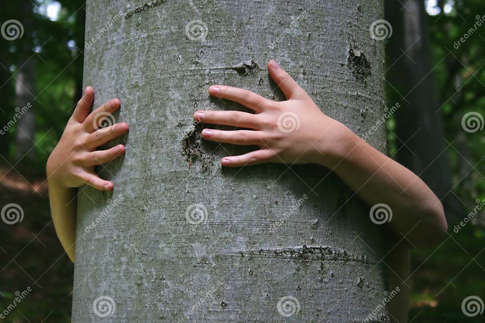 Hug stock image. Image of hands, stem, hand, nail, girl - 3141361