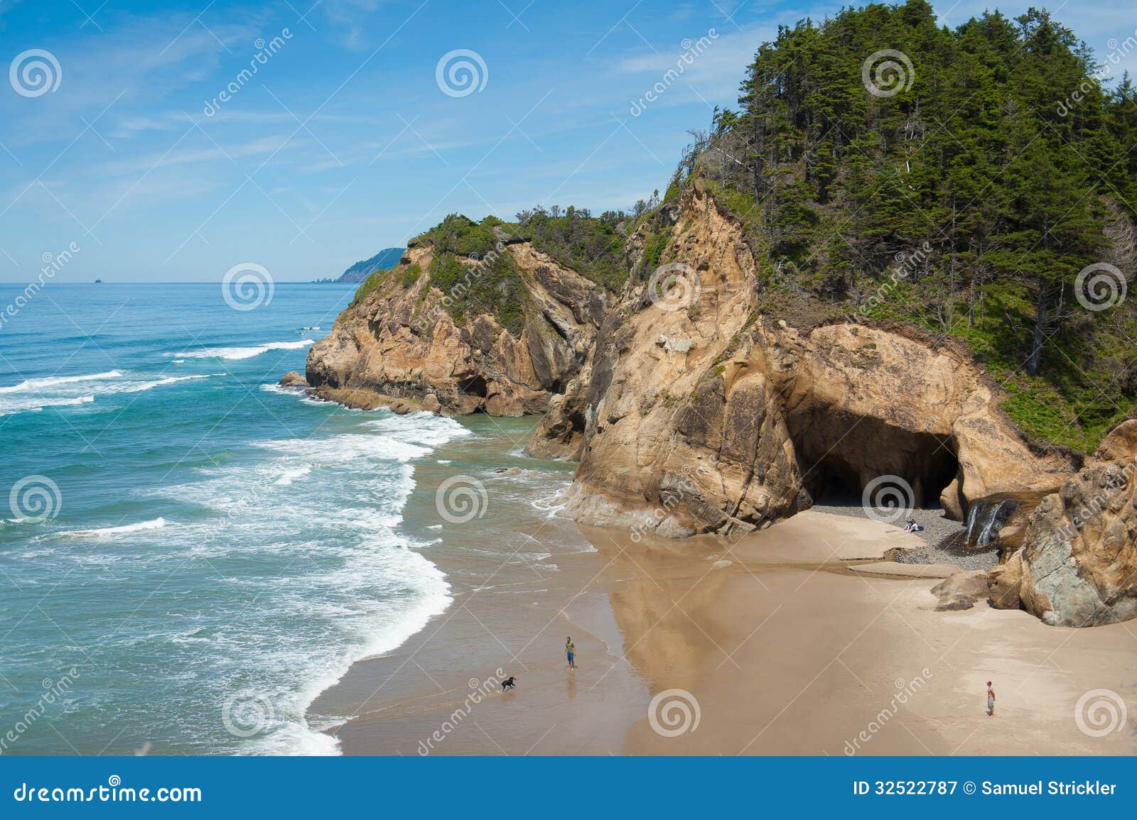 Hug Point State Park in Oregon Stock Image - Image of grass, tree: 32522787