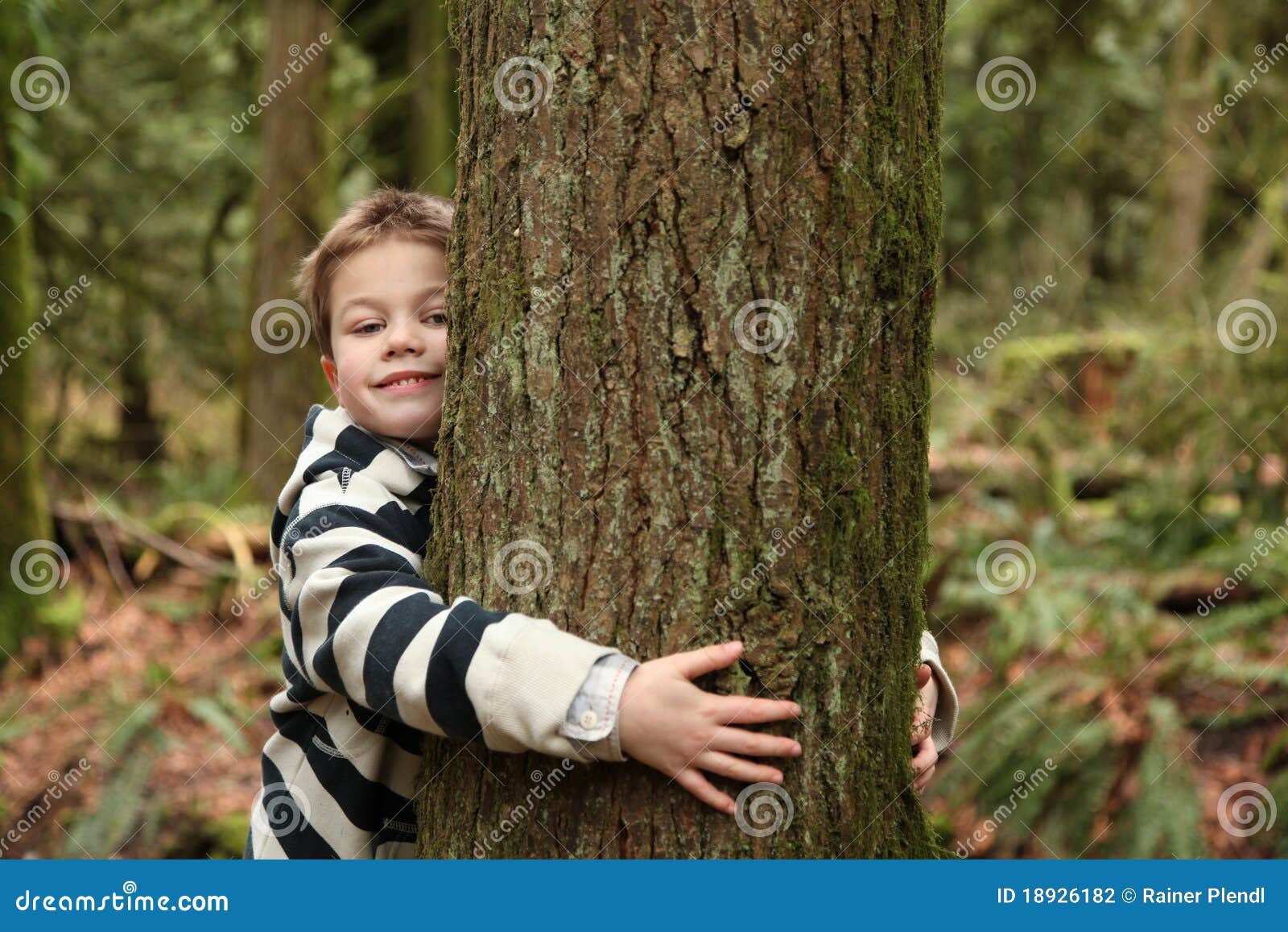 Hug the tree stock photo. Image of caucasian, trunk, conservation ...