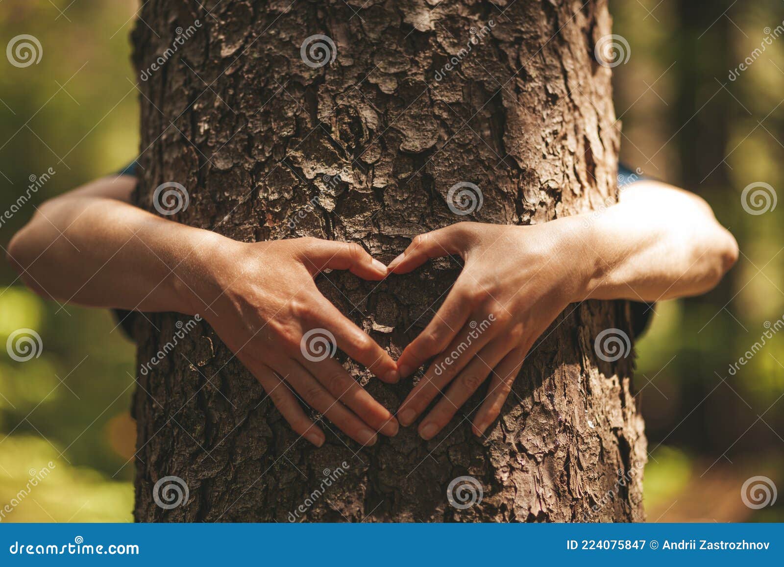 Unity With Nature Stock Photography | CartoonDealer.com #221992094