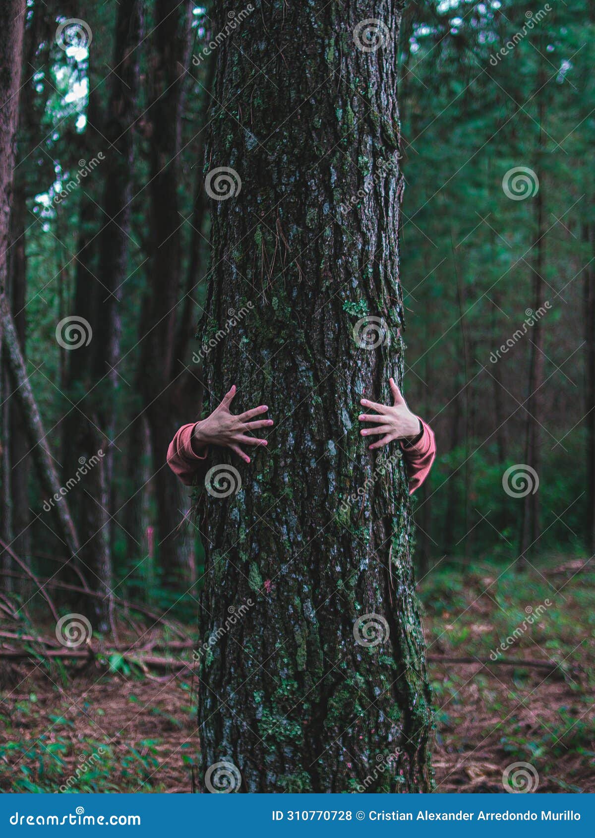 Hug tree stock photo. Image of hugging, leaf, dress - 310770728