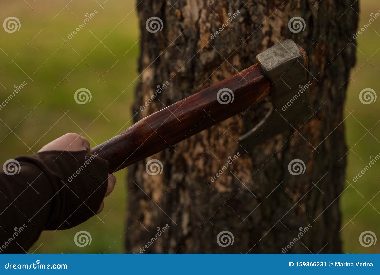 Huge Ax with a Handle Near a Tree Stock Image - Image of blade ...