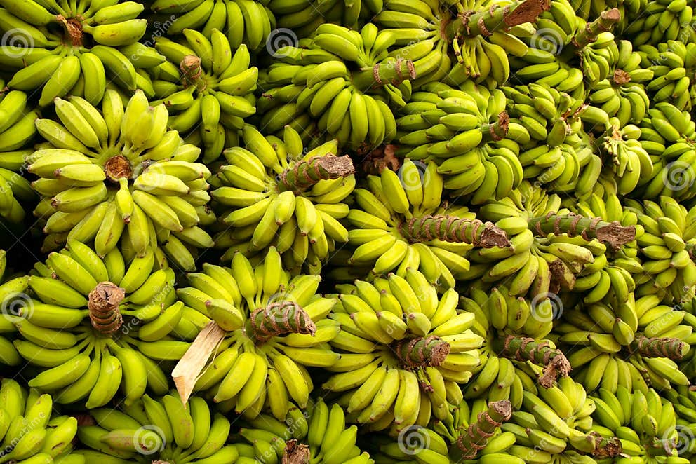 A huge banana stack stock image. Image of background - 12401297