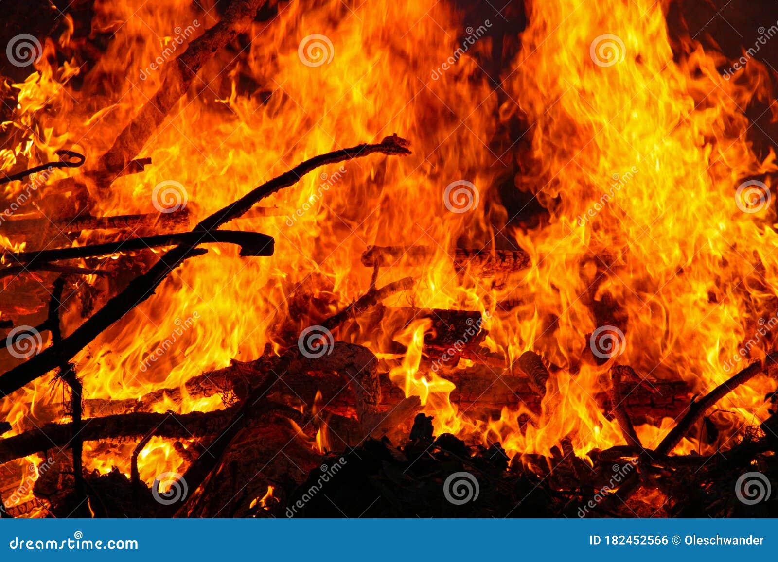 Huge Bonfire Burning with Firewood Stock Photo - Image of forest ...