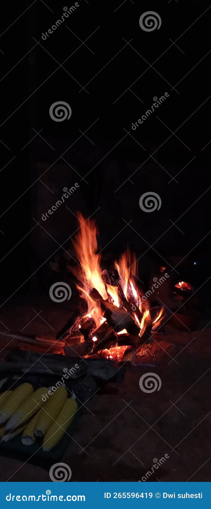 A Huge Burning Fire in the Middle of the Night Stock Image - Image of ...
