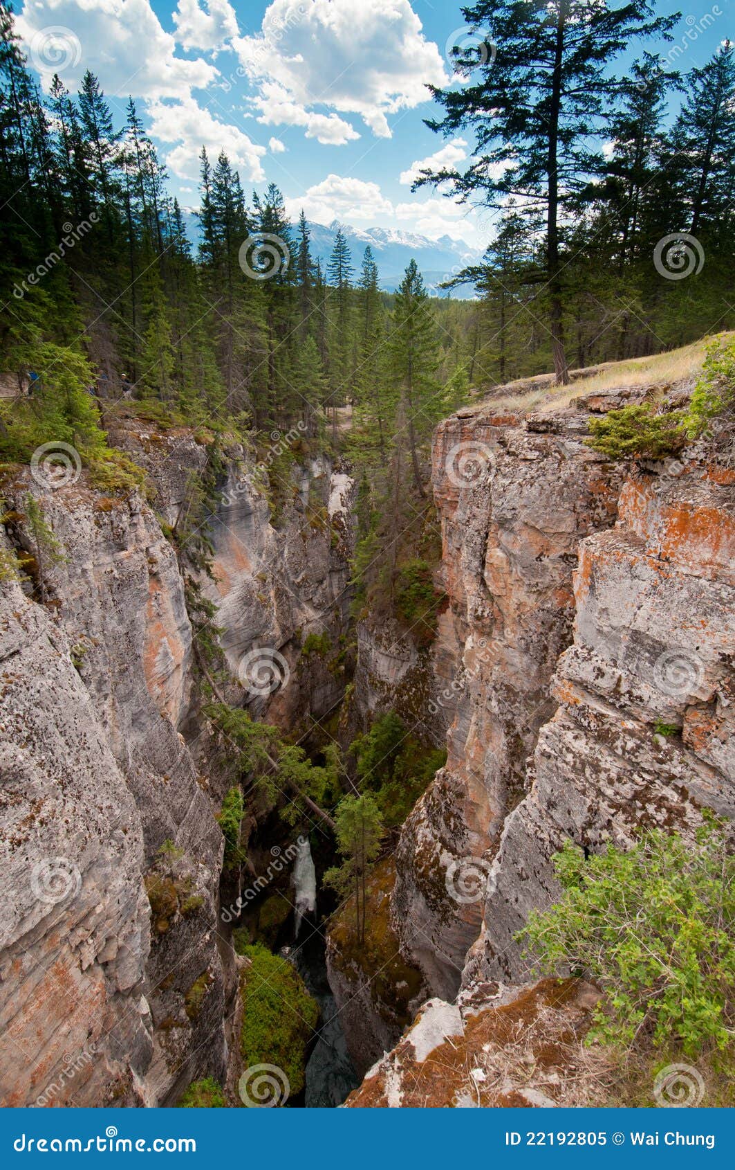 Huge canyon stock image. Image of stone, tree, scenery - 22192805